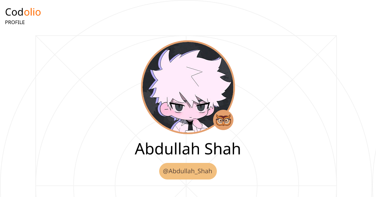 Abdullah_Shah | Codolio | Codolio