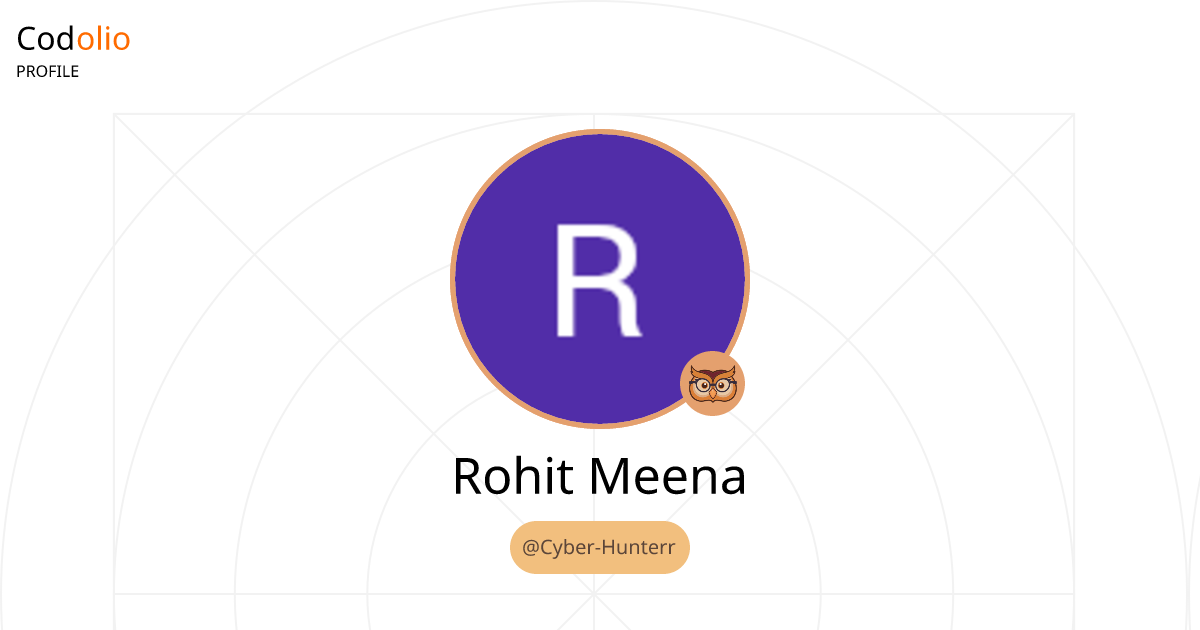 Rohit Meena | Codolio
